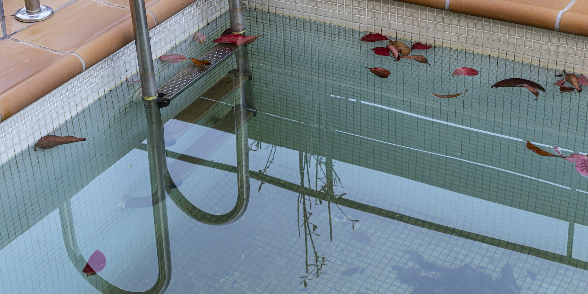 5 Reasons to Keep Your Swimming Pool Free of Leaves - Baby Barrier Fence